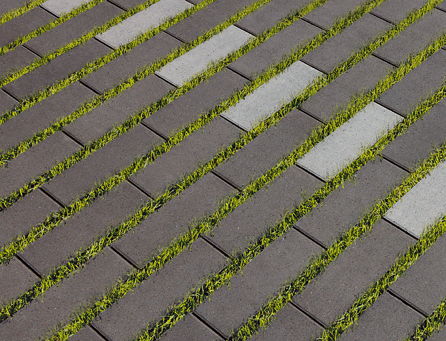 SPIRELL Vegetationsfugenstein