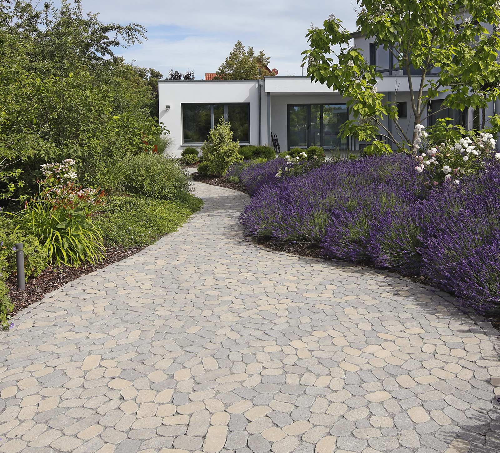 ARENA - Lebendig. Organisch. Ökologisch.