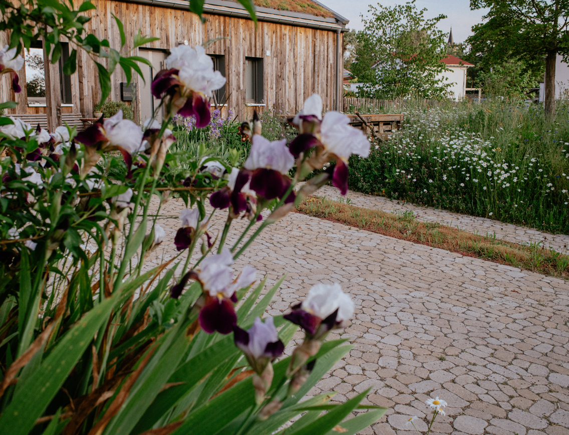 ARENA NOVA Pflastersteine